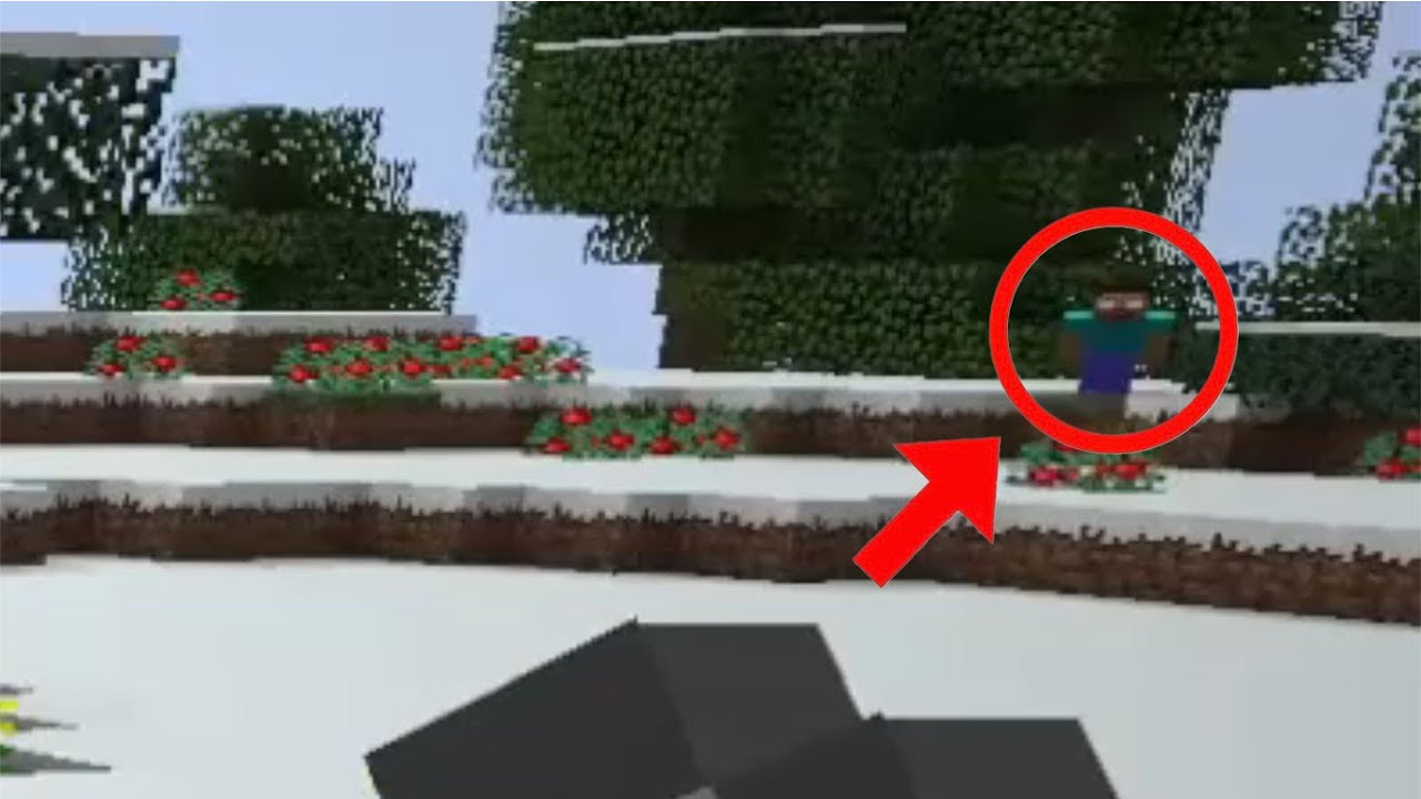 Herobrine Sighting 2025 (reupload)