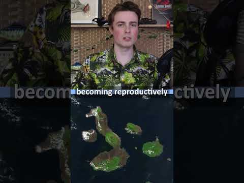Cladogenesis vs Anagenesis | Evolution Explained #evolution #biology #dinosaur