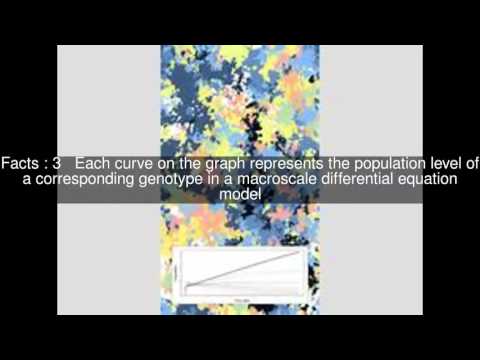 Microscale and macroscale models Top #5 Facts