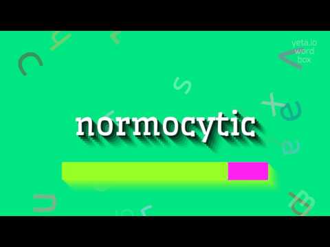 How to say "normocytic"! (High Quality Voices)