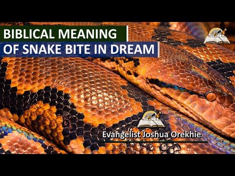 Biblical Meaning of SNAKE BITE in Dreams - Dream About Serpent Biting You