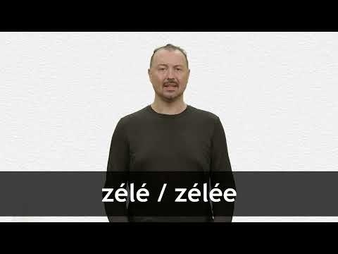 English Translation of “ZÉLÉ” | Collins French-English Dictionary