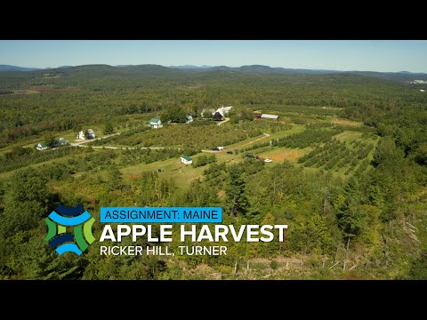 Apple Harvest at Ricker Hill | Assignment: Maine