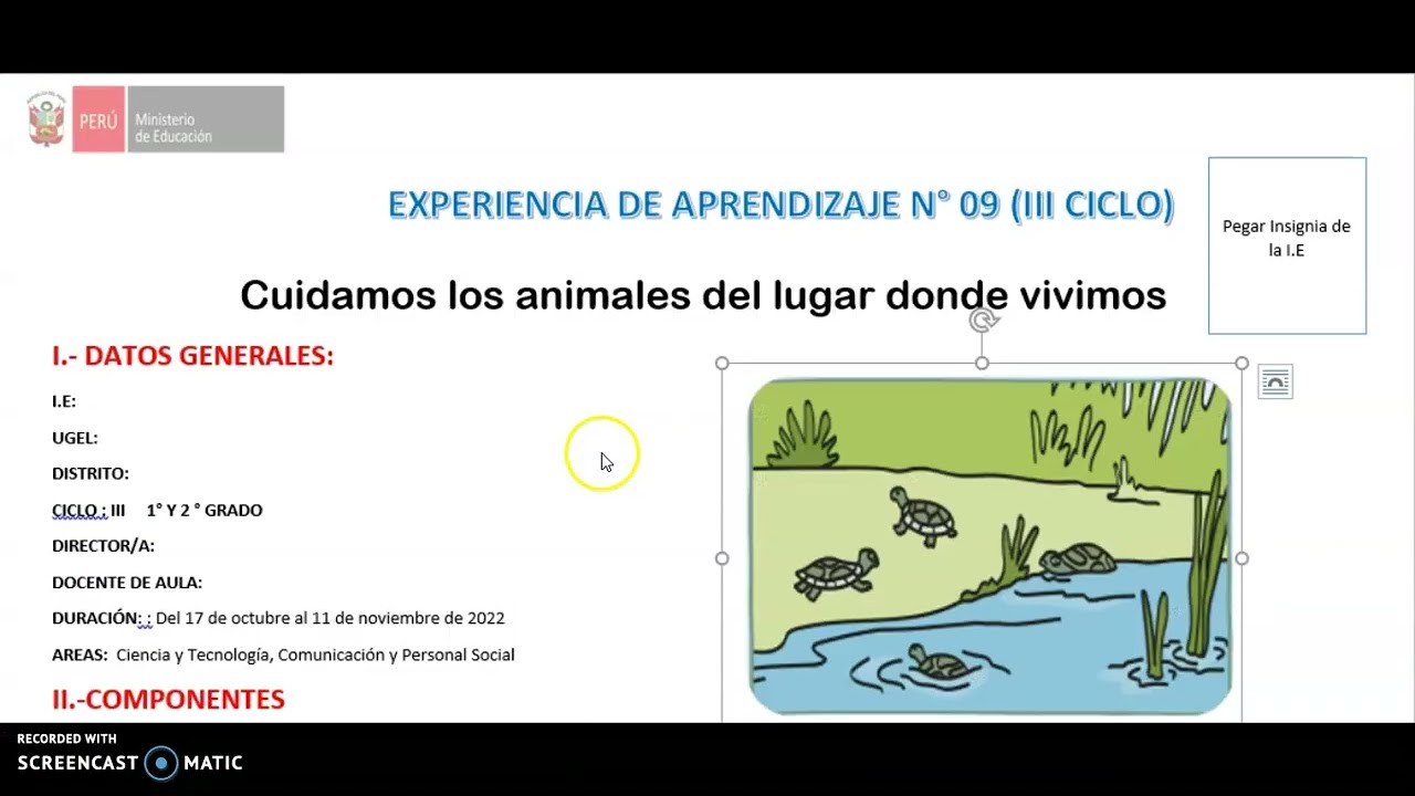 EXPERIENCIA DE APRENDIZAJE N° 09 DE 1° Y 2° GRADO