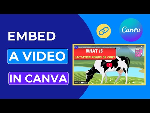 How To Embed A Video In Canva | Embed YouTube Video In Canva