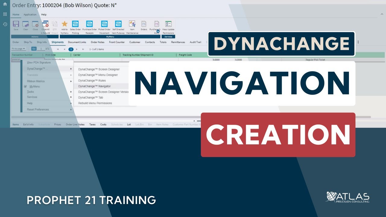 Prophet 21 Training and How To - Dynachange: Navigation Creation