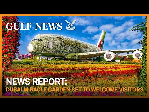 Flower power: Dubai Miracle Garden welcomes back visitors with 150 million flowers