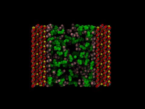 Molecular dynamics of n-butane and carbon dioxide in calcite nanopores