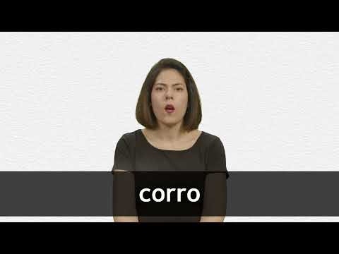 English Translation of “CORRO” | Collins Spanish-English Dictionary