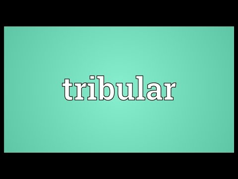Tribular Meaning