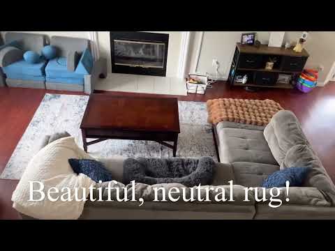 Area Rug Living Room Rugs 6x9 Abstract Large Soft Indoor Washable Rug Review