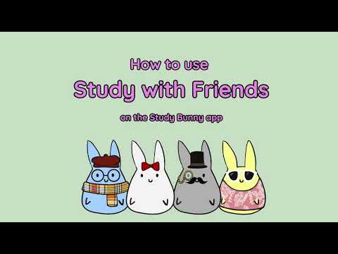 Study Bunny - How to Use Study with Friends