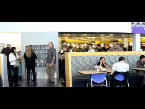 Travel USA - Yahoo! Url's Cafe