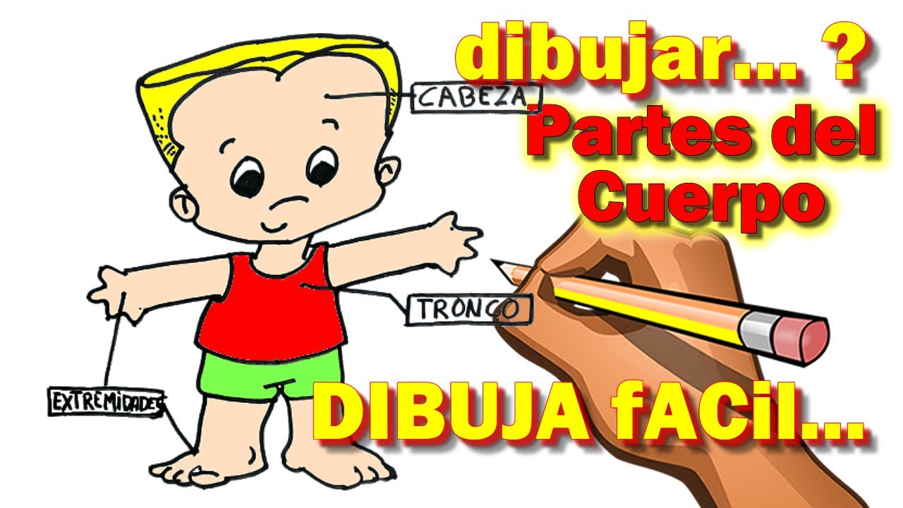 COMO DIBUJAR  PARTES DEL CUERPO PASO A PASO / HOW TO DRAW BODY PARTS STEP BY STEP
