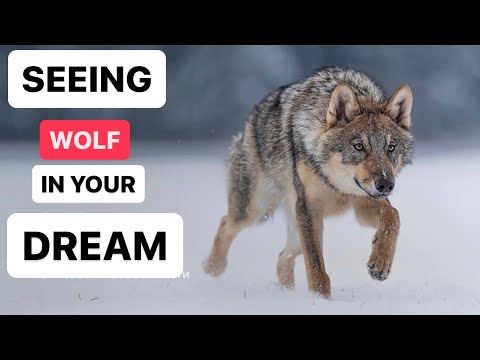 ISLAMIC DREAM INTERPRETATION. If you see WOLF in your dream what does it mean?