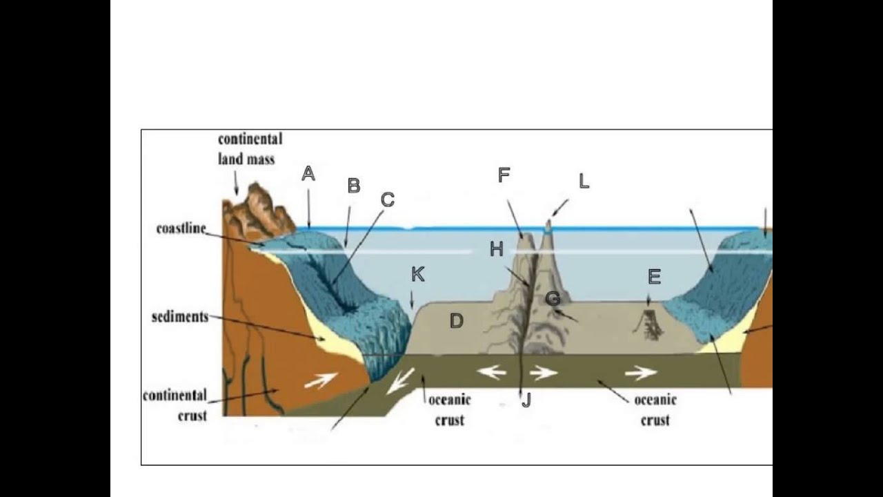 Ocean Floor Topography