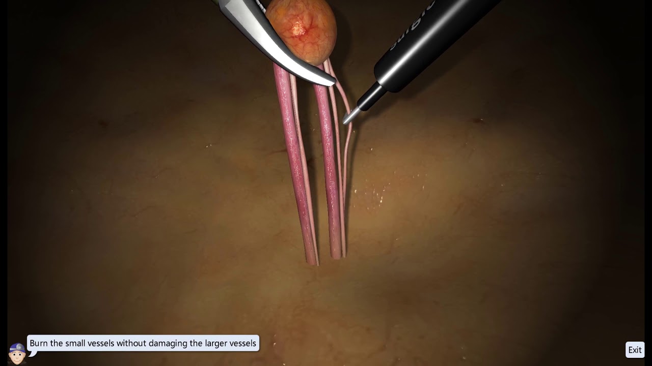 Basic Skills_2018: Fine Dissection