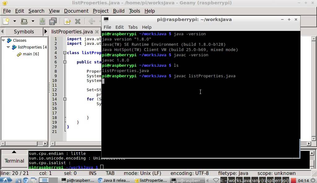 Check System Properties using Java, run on Raspberry Pi.