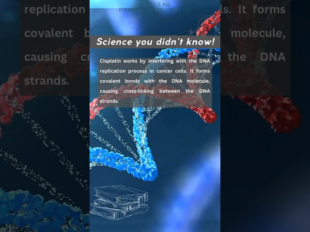 Anti Cancer Products - 0.5mg Dutanol Dutasteride Tablets 100% Export ...