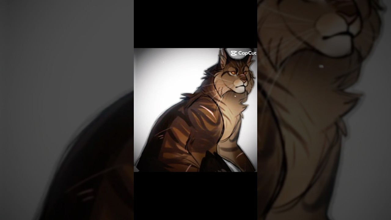 Their evil leader #tigerstar #warriorcats #edit #darkforest #hawkfrost #mapleshade #brokenstar