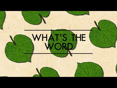 What's The Word: Endemic