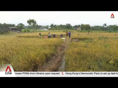 Indonesian president's quest to ensure food security faces challenges