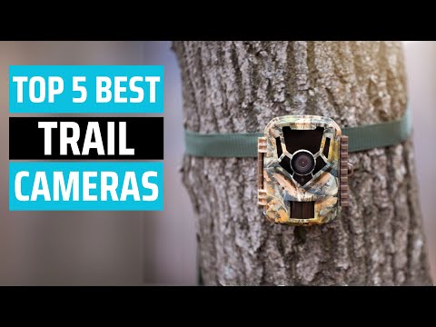 Best Trail Cameras 2025 - [don’t buy one before watching this]