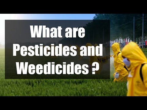 What are Pesticides and Weedicides ?