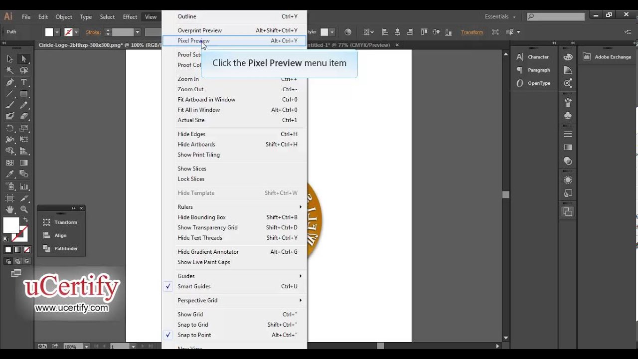 View The Pixel Grid And Align Objects To The Pixel Grid