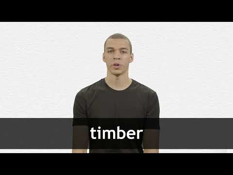 TIMBER 释义 | 柯林斯英语词典