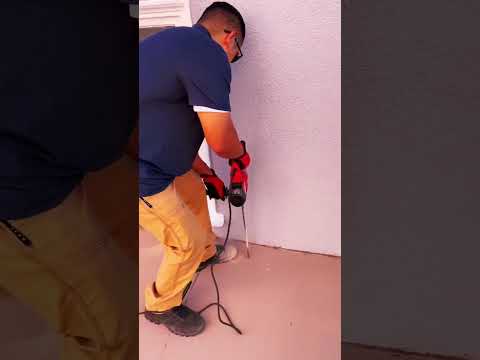 Subterranean #termite treatment. #shorts #yelp #nextdoor #sanfrancisco #sanjose #oakland