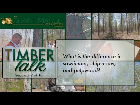 Timber Talk: What is the difference in sawtimber, chip-n-saw, and pulpwood? (2 of 10)
