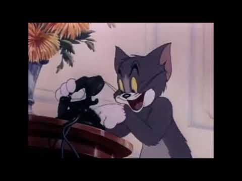 Tom and Jerry - Smitten Kitten