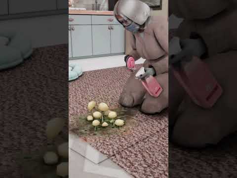 The Secret Link Between Sims and Mold