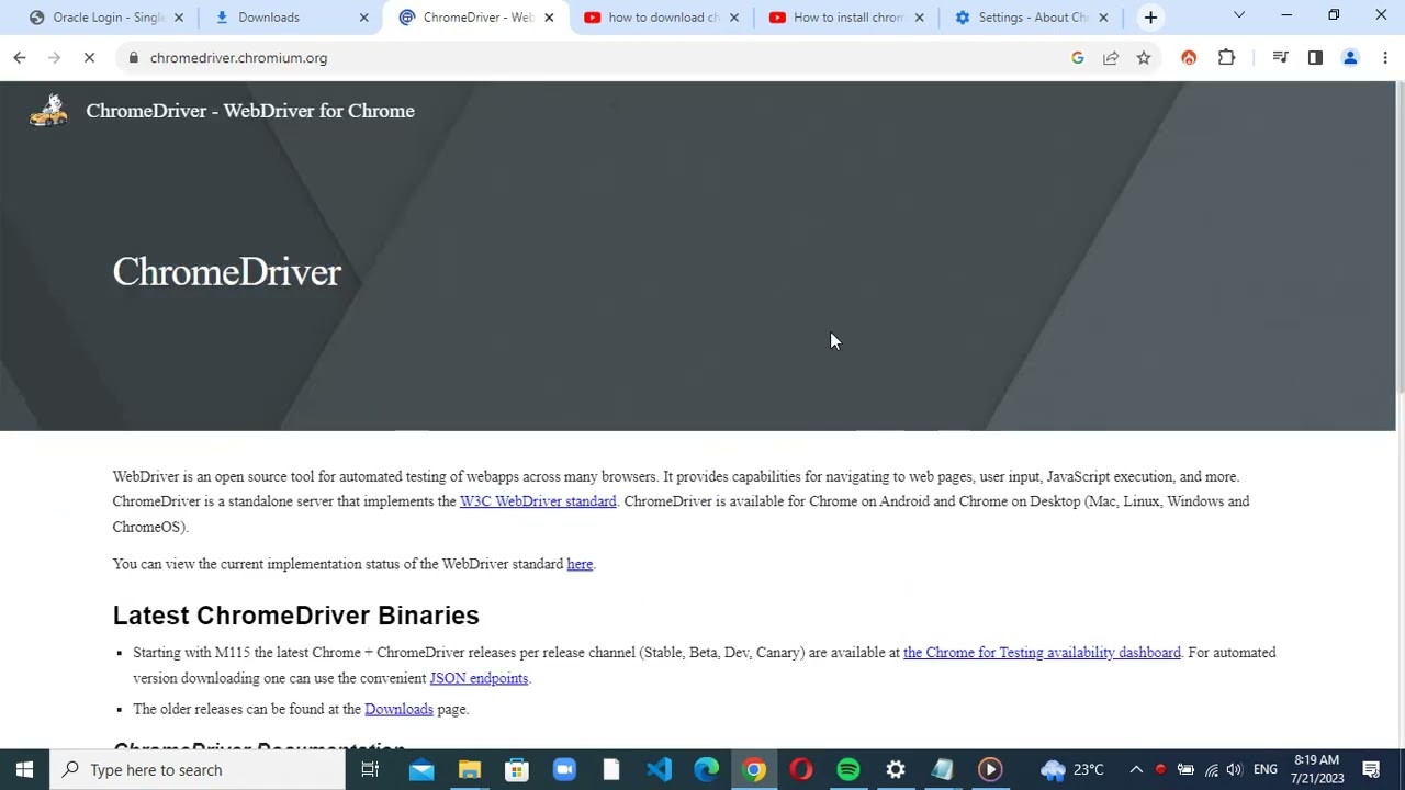 How to Download Chrome Driver for Selenium