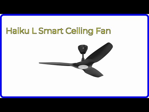 REVIEW (2025): Haiku L Smart Ceiling Fan. ESSENTIAL details.