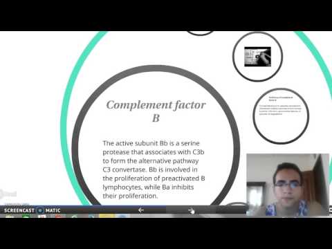Deficiency in complement factor B