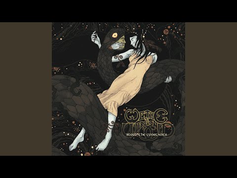 Bleed the Constants (feat. Anthesis)