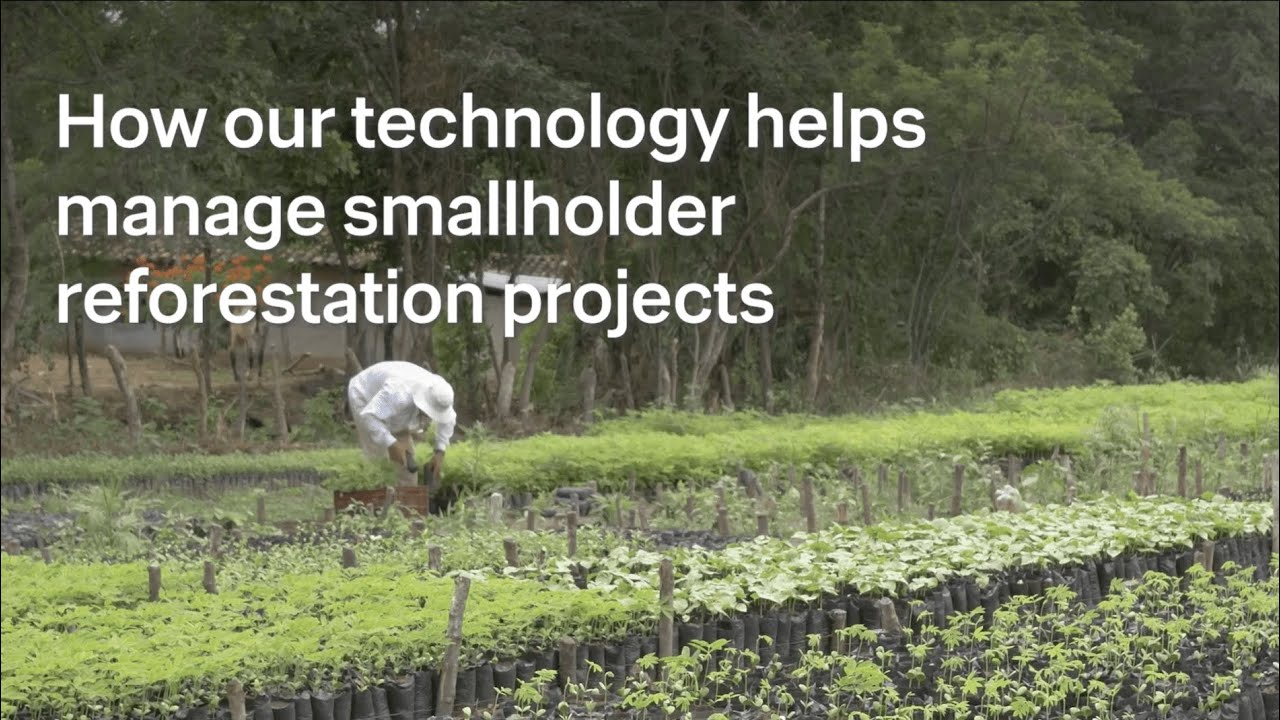 How our technology helps manage smallholder reforestation projects