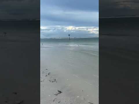 Shell Key Preserve, FL | The Dyrt