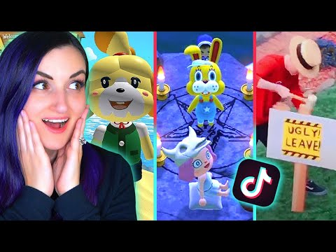 Animal Crossing TikTok Memes That Are Actually FUNNY
