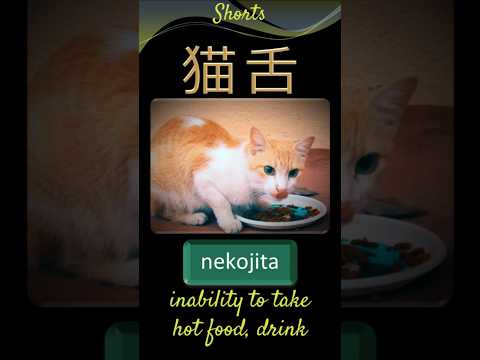 Cat's tongue in Japanese η«θ