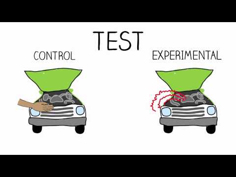 Research Methods: Experimental Design