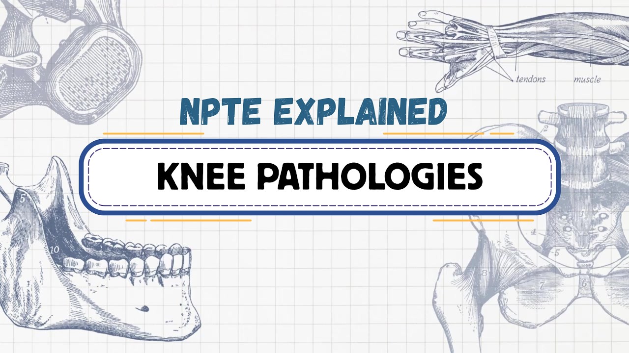 NPTE Explained | Musculoskeletal | Knee Pathologies