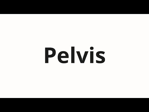 How to pronounce Pelvis