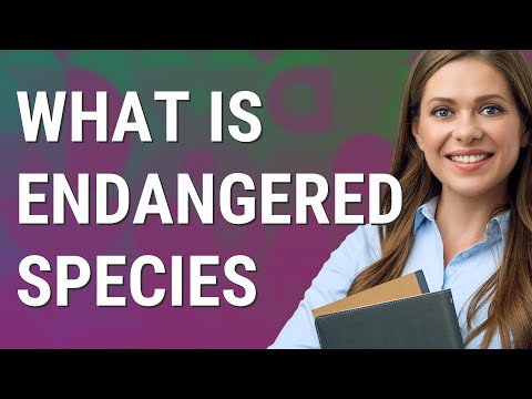 Endangered species | meaning of Endangered species