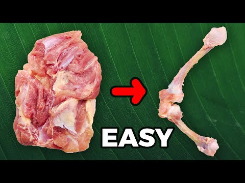 Chicken dissection- Blog post – The Manaiakalani Network Blogging