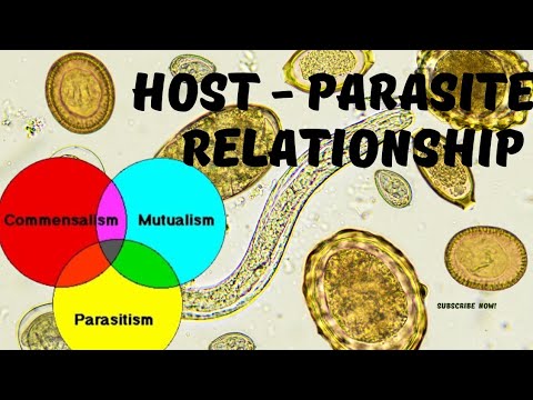 Host-parasite relationship in Urdu / Hindi
