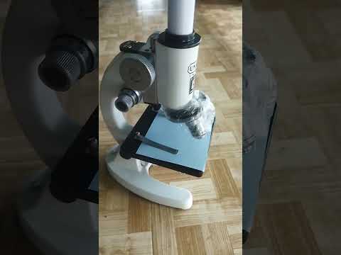 Monocular Microscope - Monocular Compound Microscope Latest Price ...