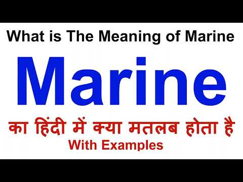 Marine Meaning in Hindi | Marine Definition | Marine Ka Matlab Kya Hota Hai | Marine in Hindi